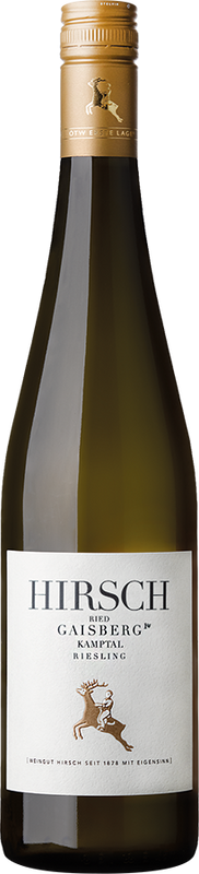 Riesling Gaisberg Erste Lage Otw Kamptal Reserve DAC (Bio) 2016 Weingut ...