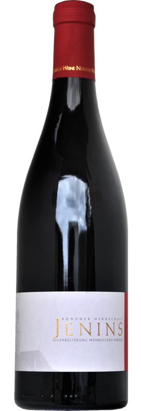 Jenins Pinot Noir - Bündner Herrschaft AOC 2017 Nüesch | Flaschenpost
